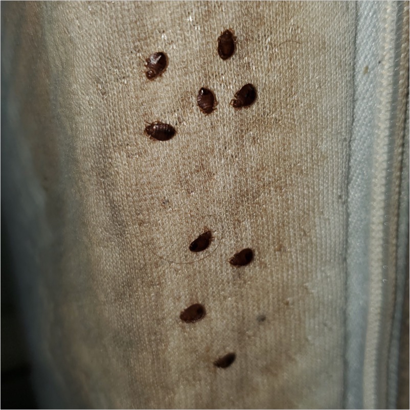 Mid-State Pest Control